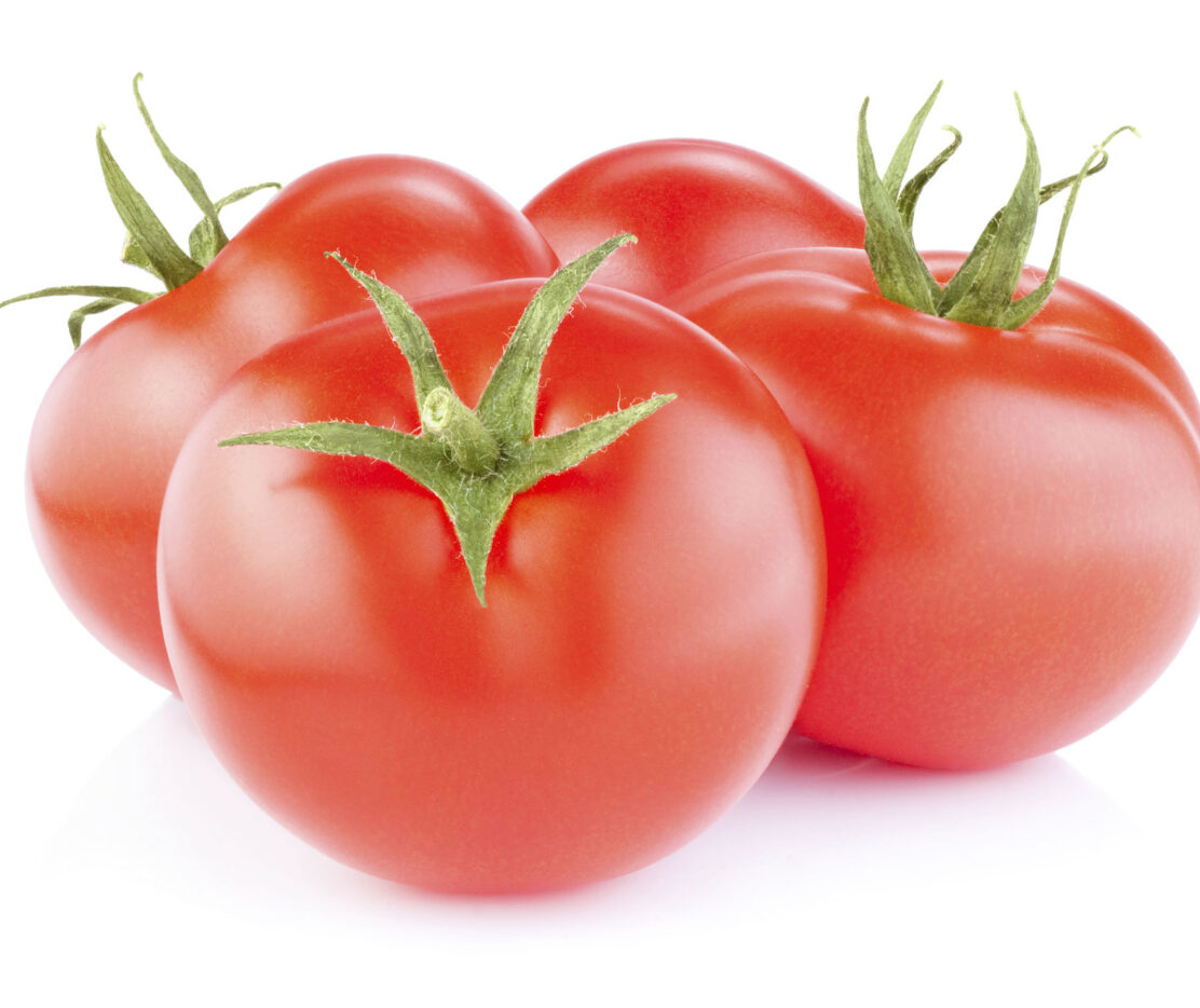 Tomato Seeds Farmsonbiotech